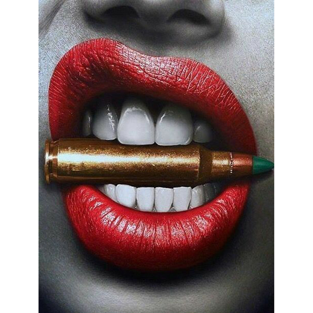 Bullets and Women 5D Diamond Painting - 5diamondpainting.com – Five ...