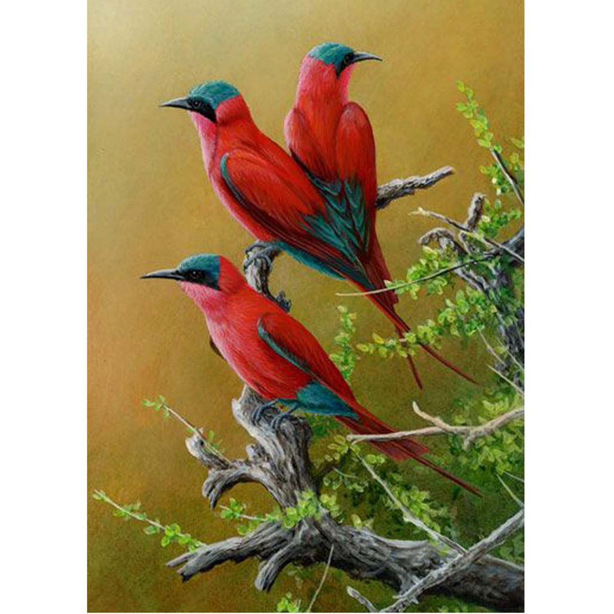 Three Red Birds 5D Diamond Painting - 5diamondpainting.com – Five ...